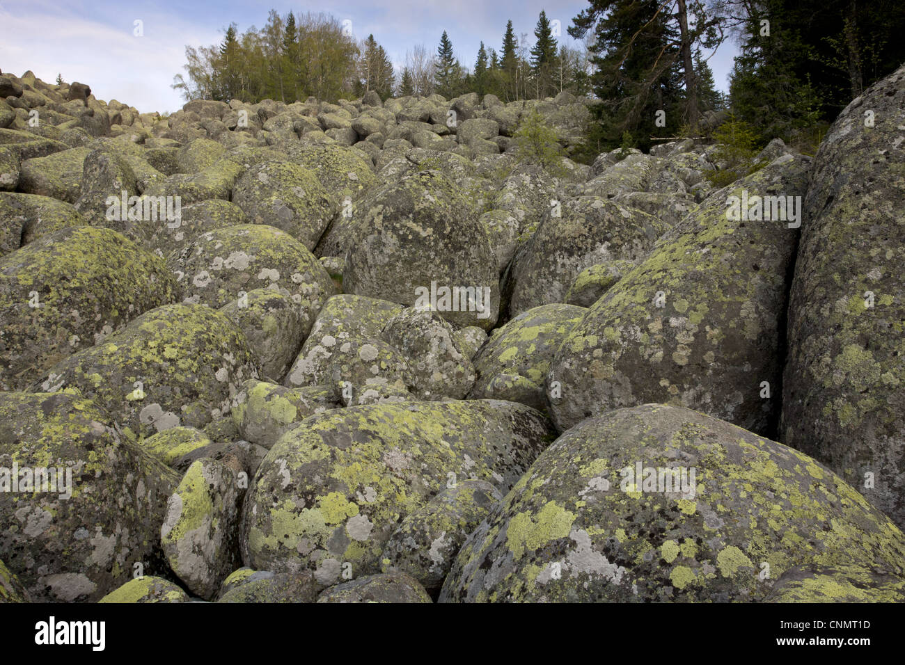 Granite boulders 'stone run' peculiar geomorphological phenomenon ...