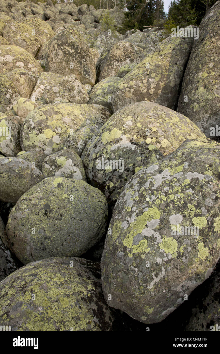 Granite boulders 'stone run' peculiar geomorphological phenomenon ...