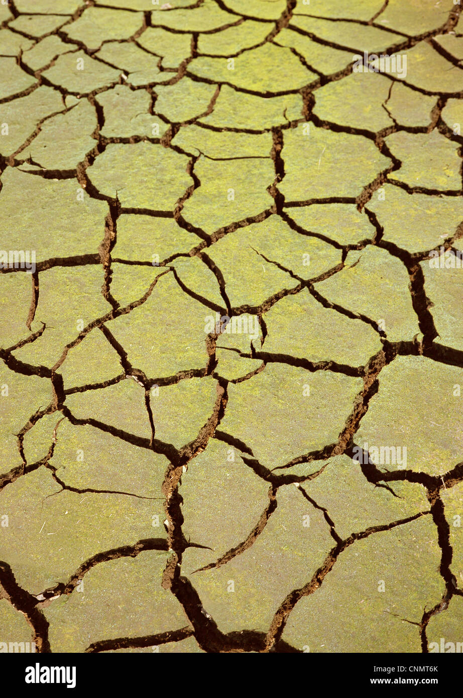 Dry soil texture on the ground Stock Photo - Alamy