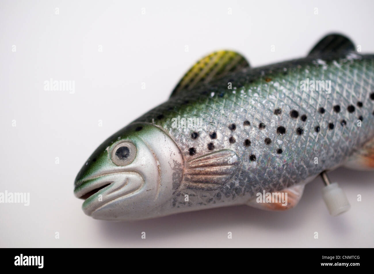 Fish out of water - a toy clockwork fish Stock Photo - Alamy