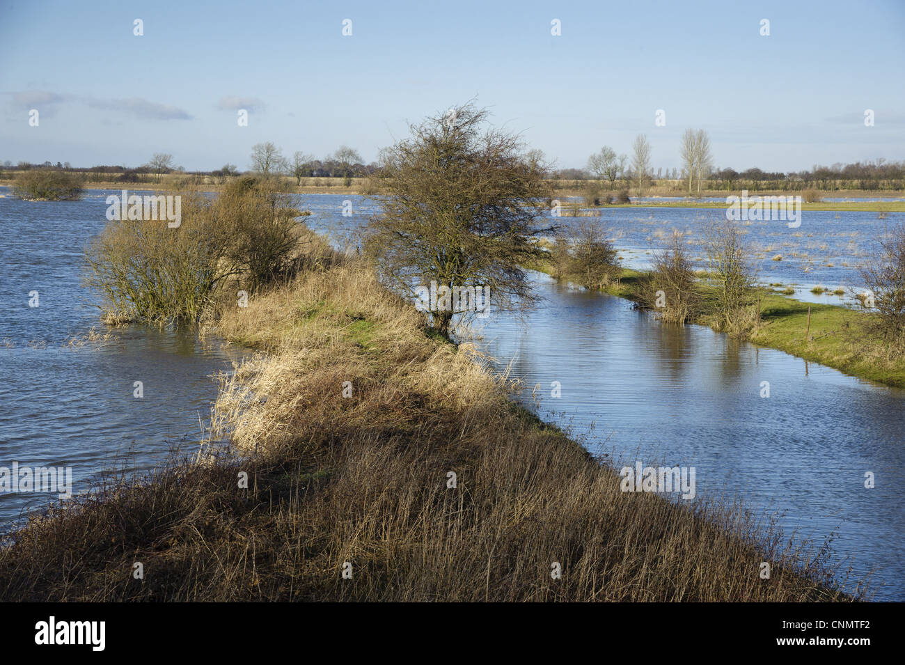 View of river flooding farmland, River Derwent, Bubwith, Selby, East ...
