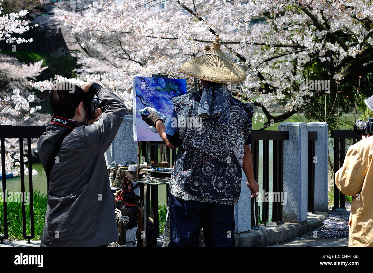 Painter with Asian straw hat painting cherry blossoms seen from behind ...