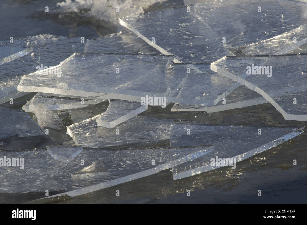 Broken sheets of ice on frozen river, River Nith, Dumfries and Galloway ...