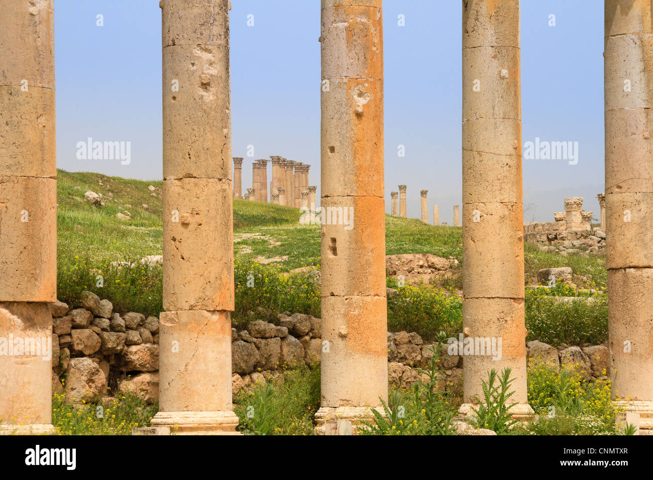 Columns of jerash hi-res stock photography and images - Alamy