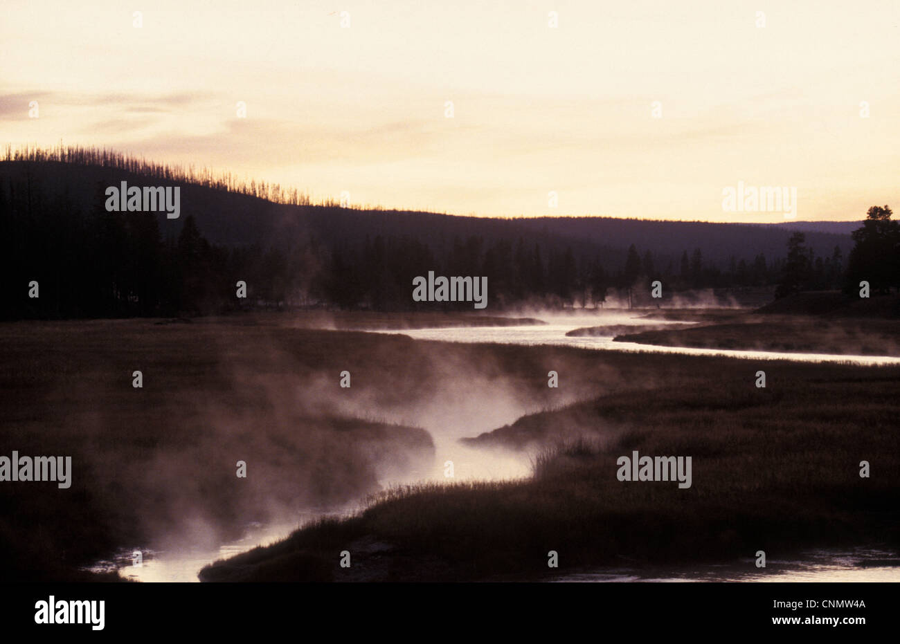 Mist Early morning mist rising from Madison River, Yellowstone, USA ...