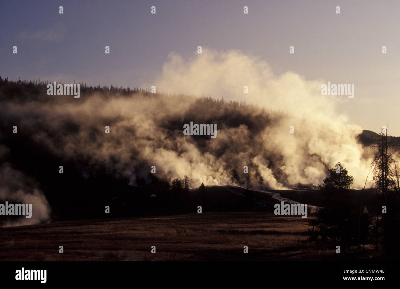 Faithfull hi-res stock photography and images - Alamy