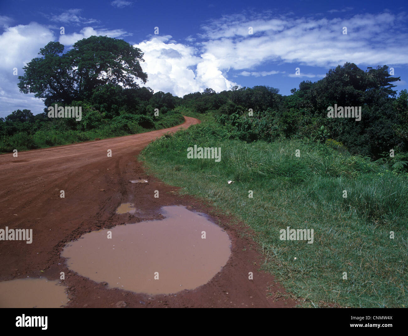 Rain Puddle on African road Stock Photo - Alamy