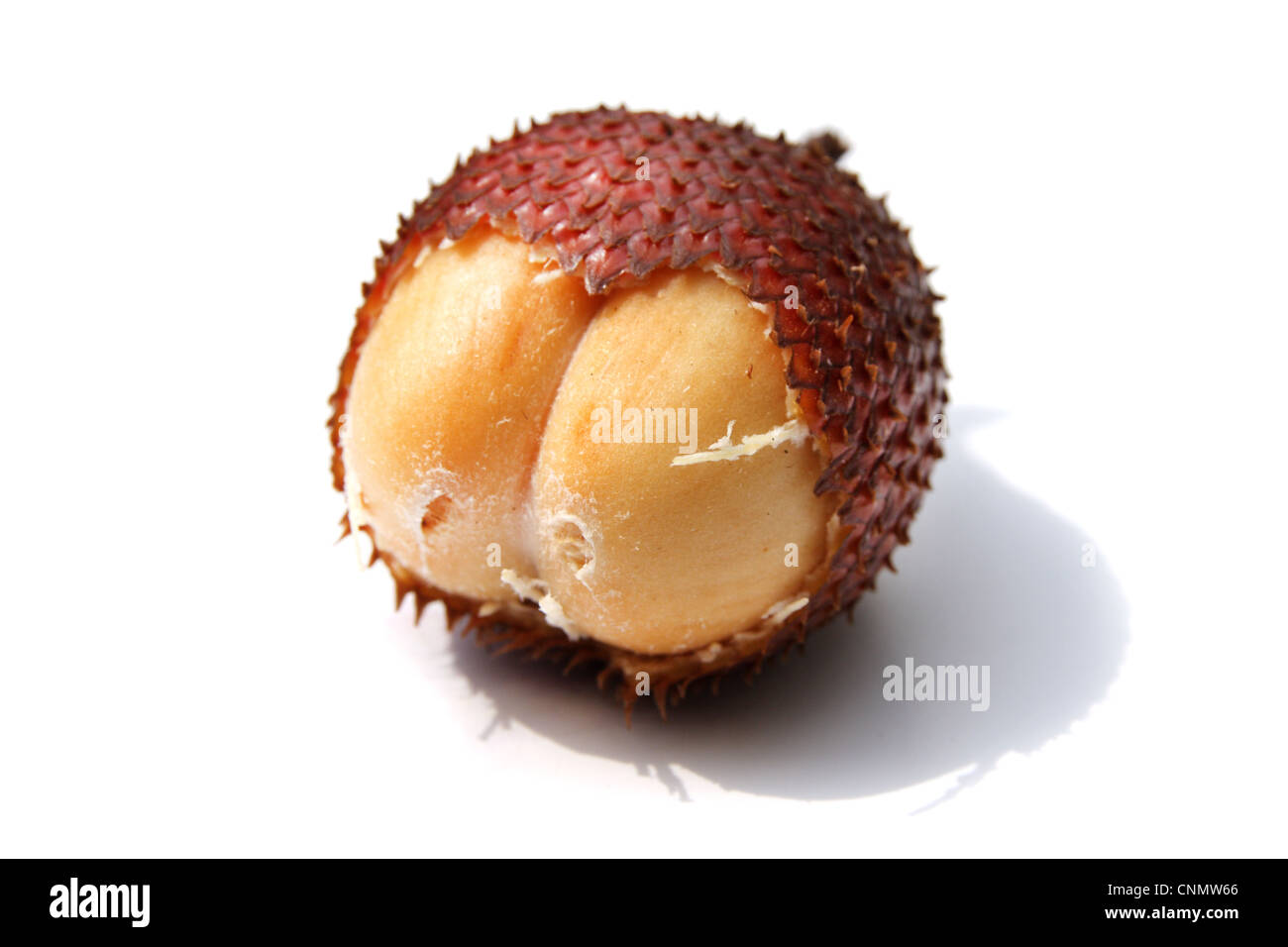 Rakum palm fruit , Zalacca fruit Stock Photo - Alamy