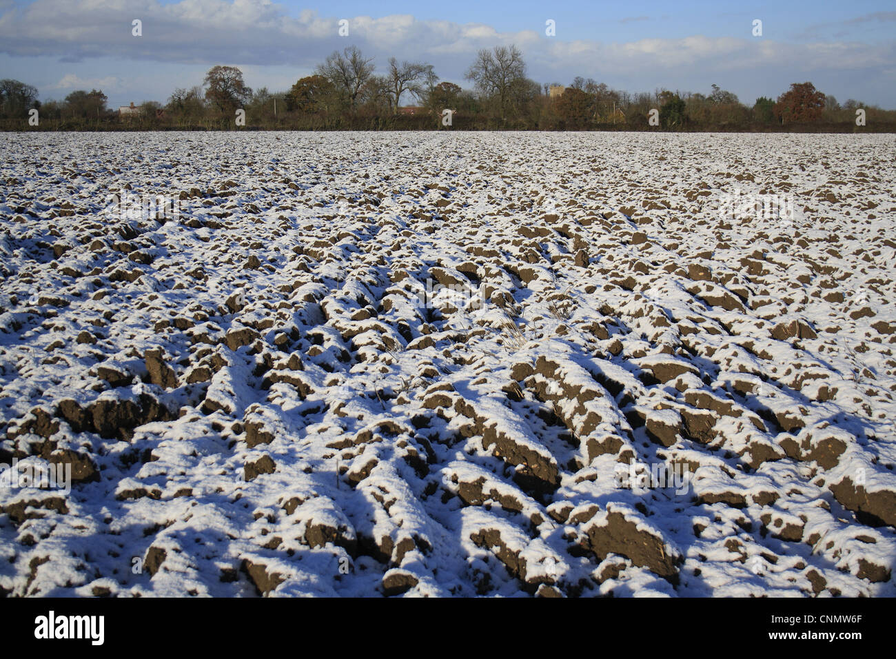 Snow covered ploughed arable field, Bacton, Suffolk, England, november ...