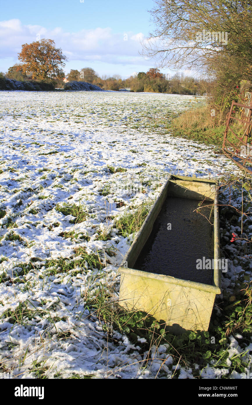 Water trough winter uk horse hi-res stock photography and images - Alamy