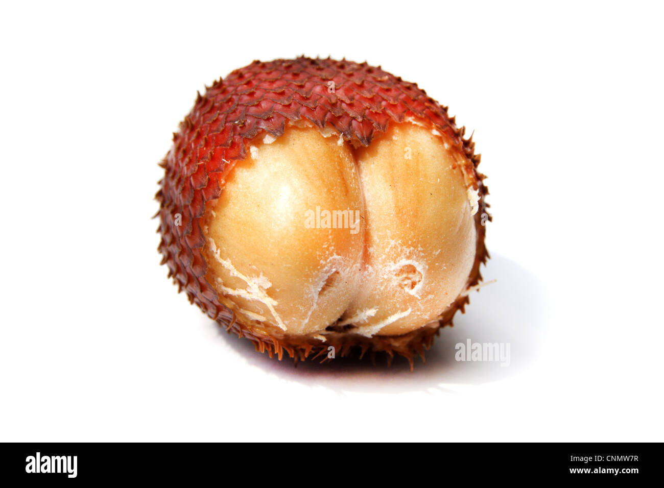 Rakum palm fruit , Zalacca fruit Stock Photo - Alamy