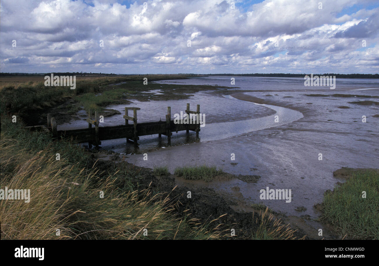 Mudflats Out flow from Pump house on Iken Marsh - Alde Mudflats ...