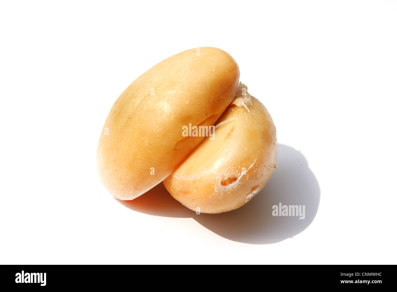 Rakum palm fruit , Zalacca fruit Stock Photo - Alamy