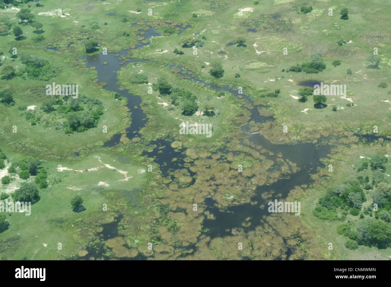 Aerial view of wetland habitat, Okavango Delta, Botswana Stock Photo ...