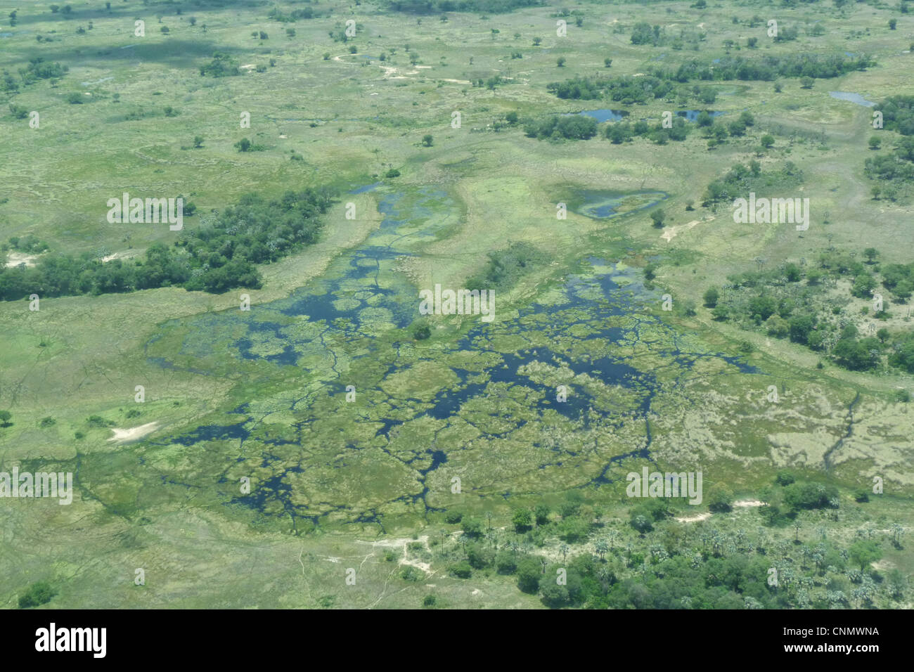 Aerial view of wetland habitat, Okavango Delta, Botswana Stock Photo ...
