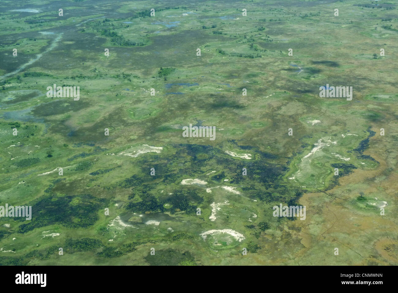 Aerial view of wetland habitat, Okavango Delta, Botswana Stock Photo ...