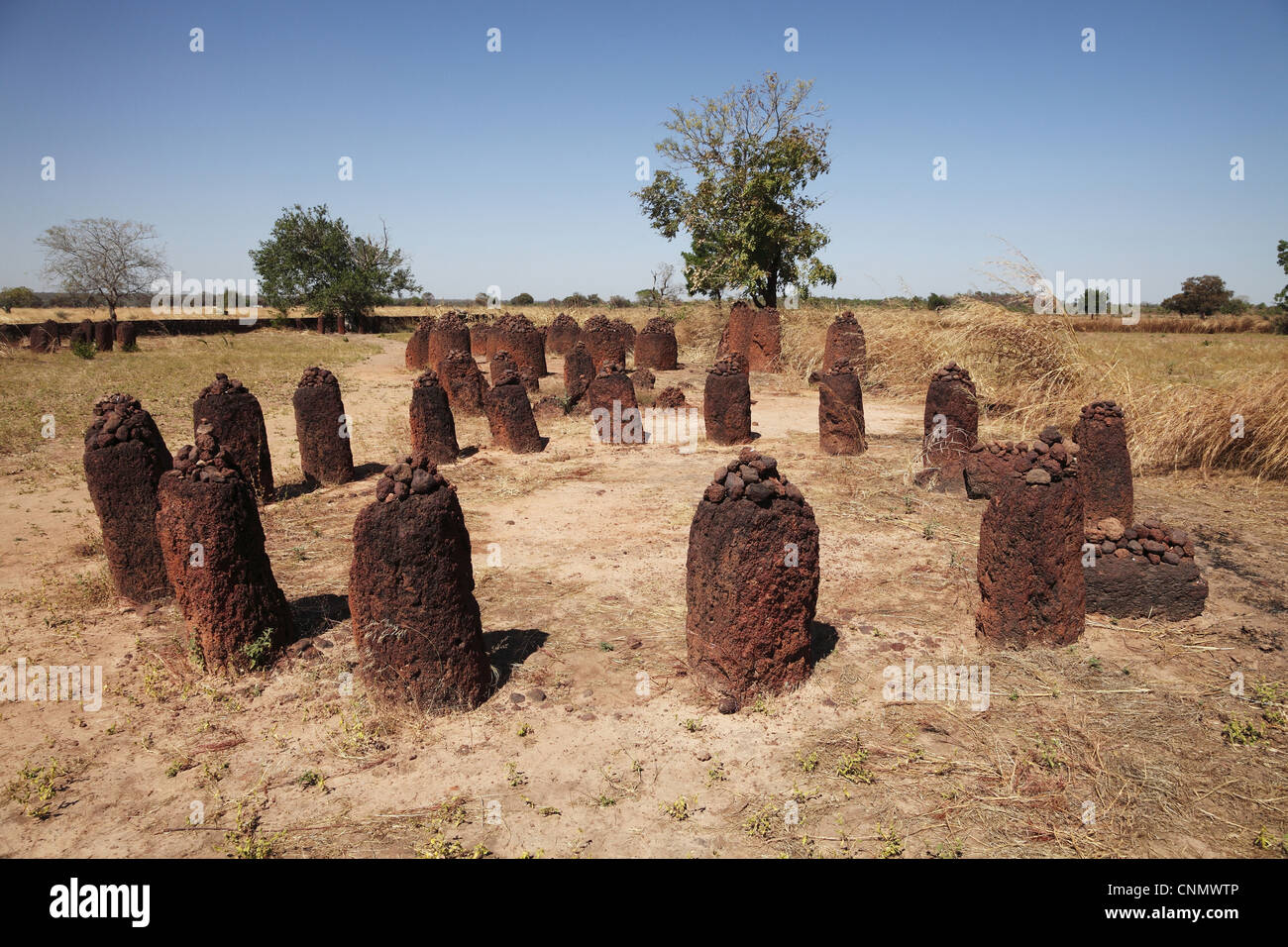 Stones marking burial site, Wassu Stone Circles, Gambia, january Stock ...