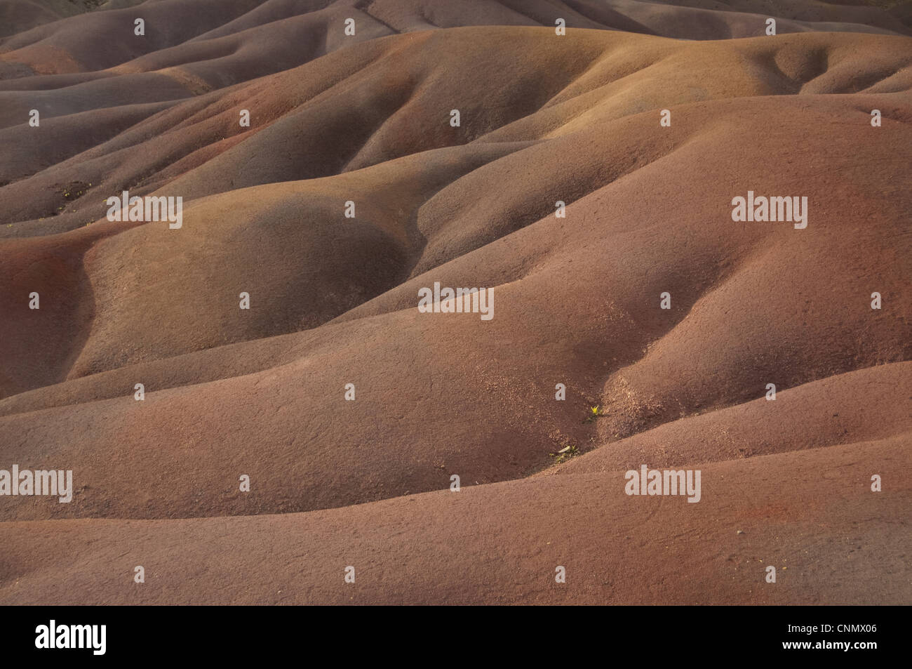 Different couleurs hi-res stock photography and images - Alamy