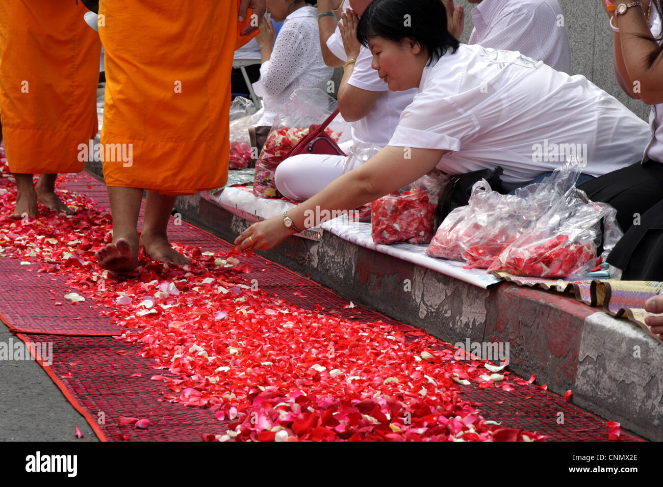 Thai Buddhist monks walking on rose petals scattered by devotees in ...