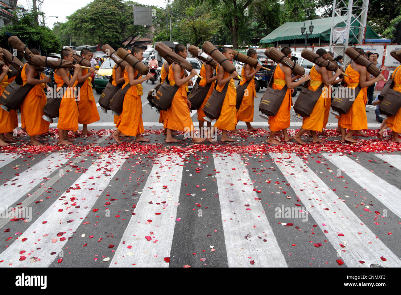 Thai Buddhist monks walking on rose petals scattered by devotees in ...
