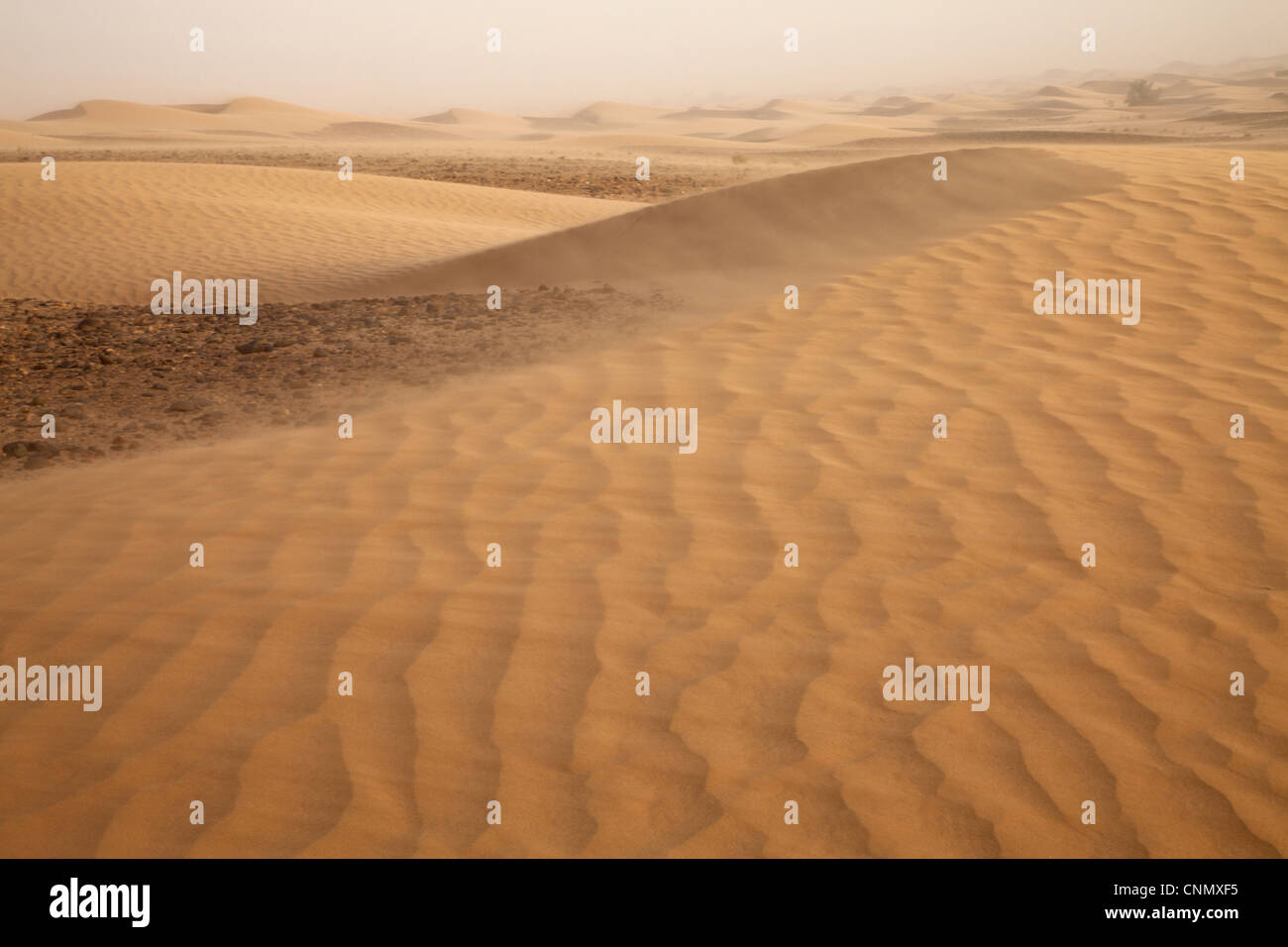 Saharan sandstorm hi-res stock photography and images - Alamy
