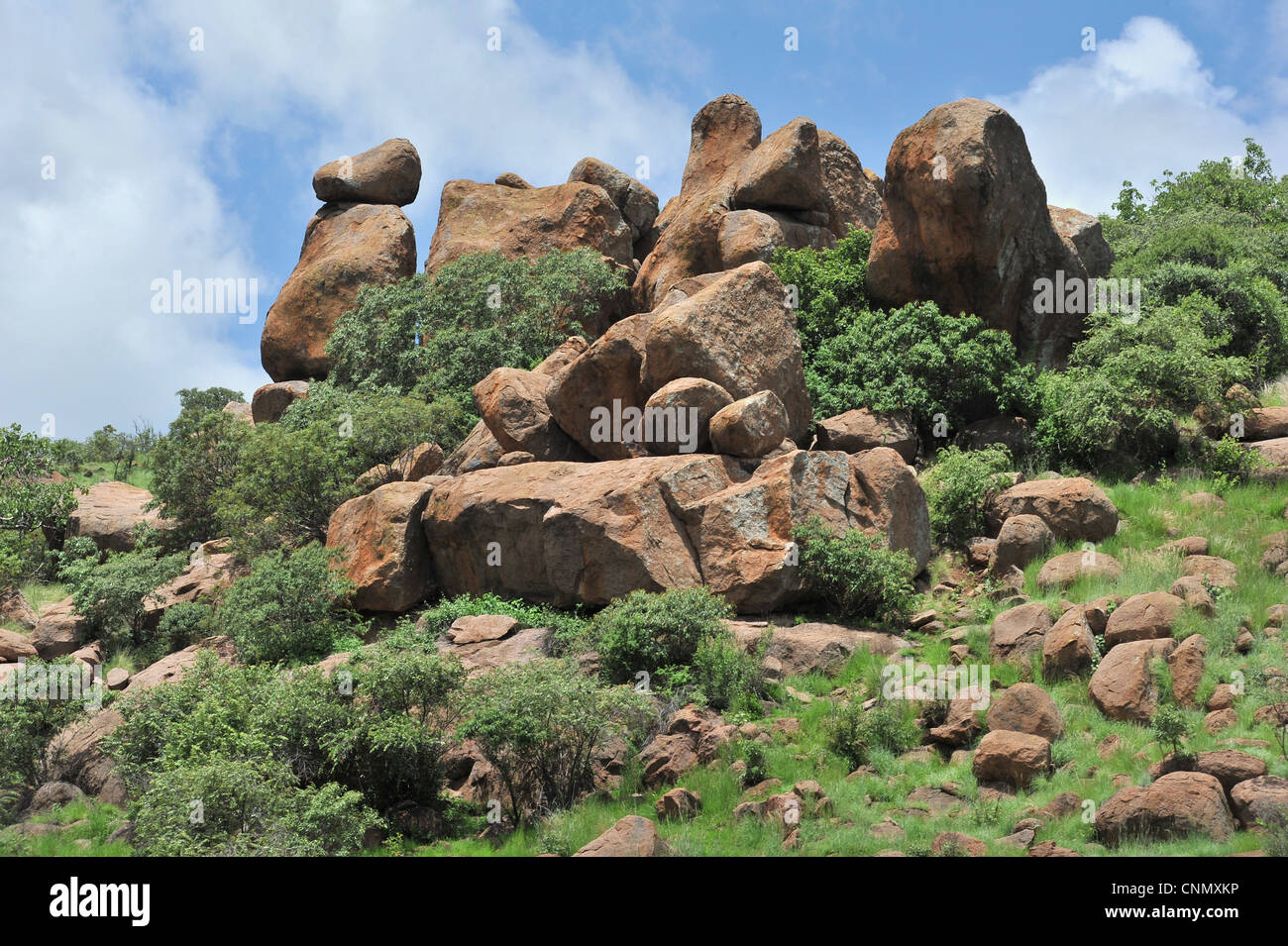 Boulders in lowveld habitat, Pilanesberg N.P., North West Province ...