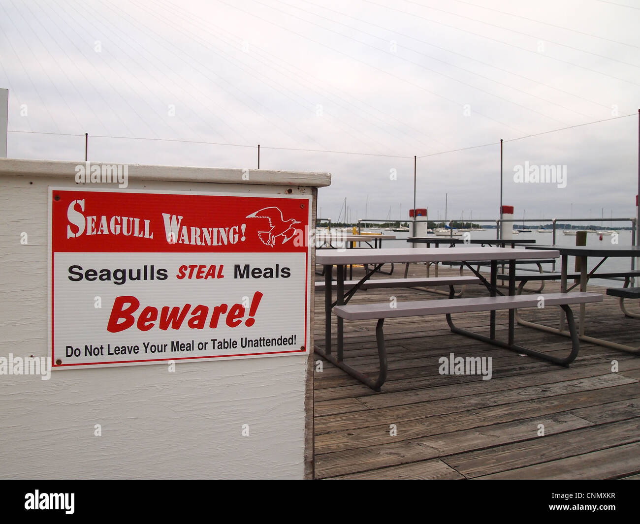Seagull warning sign hi-res stock photography and images - Alamy