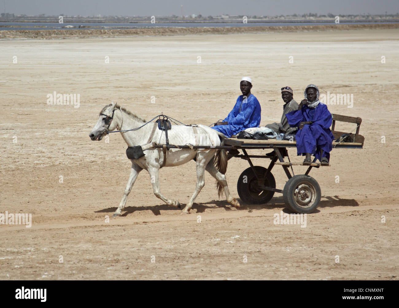 Senegalese men riding 'charette' horse pulled taxi, Kaolack, Senegal ...