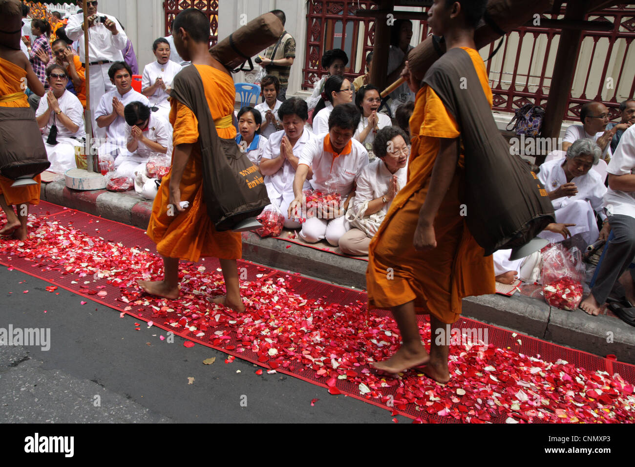 Thai Buddhist monks walking on rose petals scattered by devotees in ...