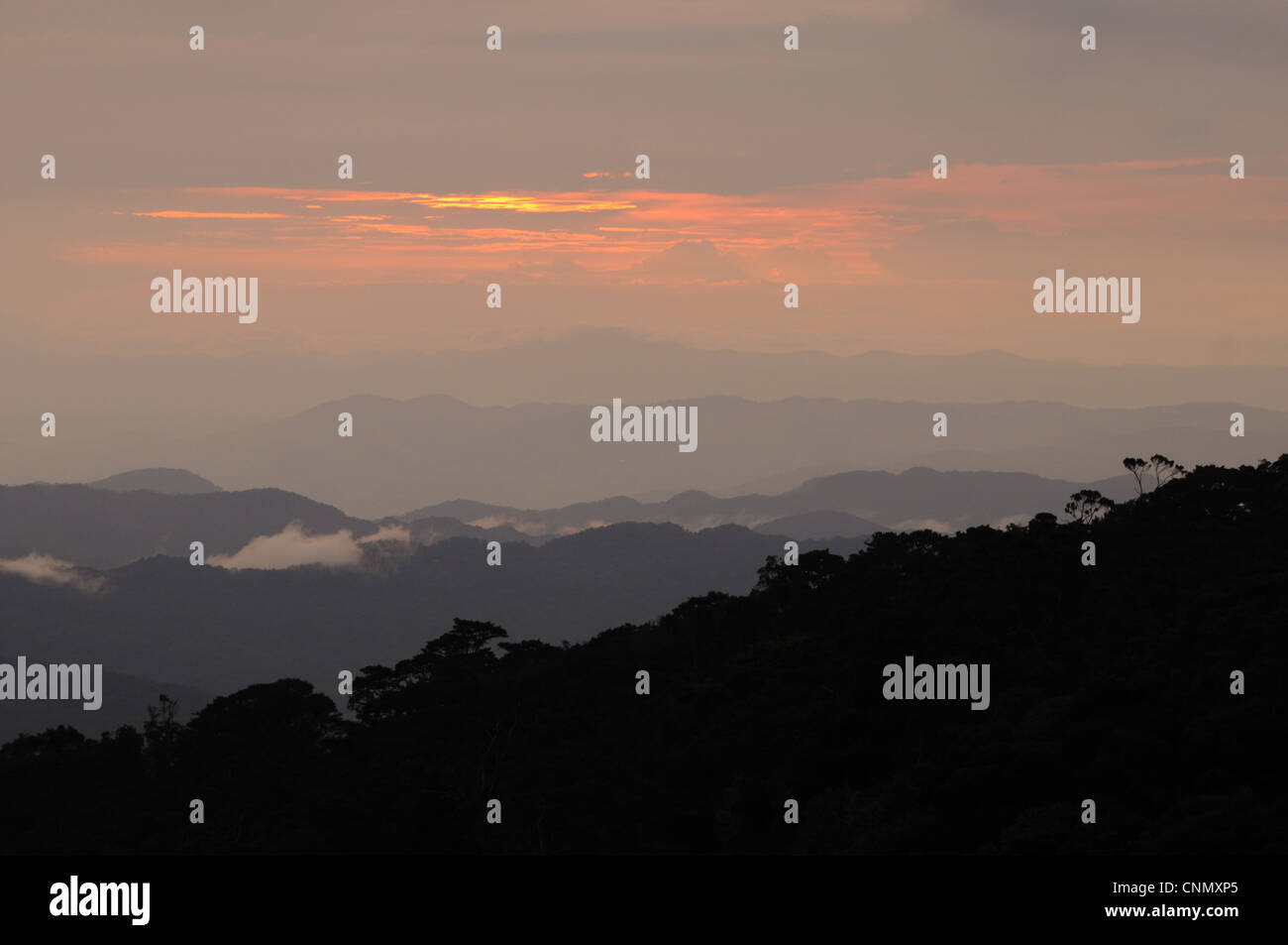 Rwandan scenery hi-res stock photography and images - Alamy