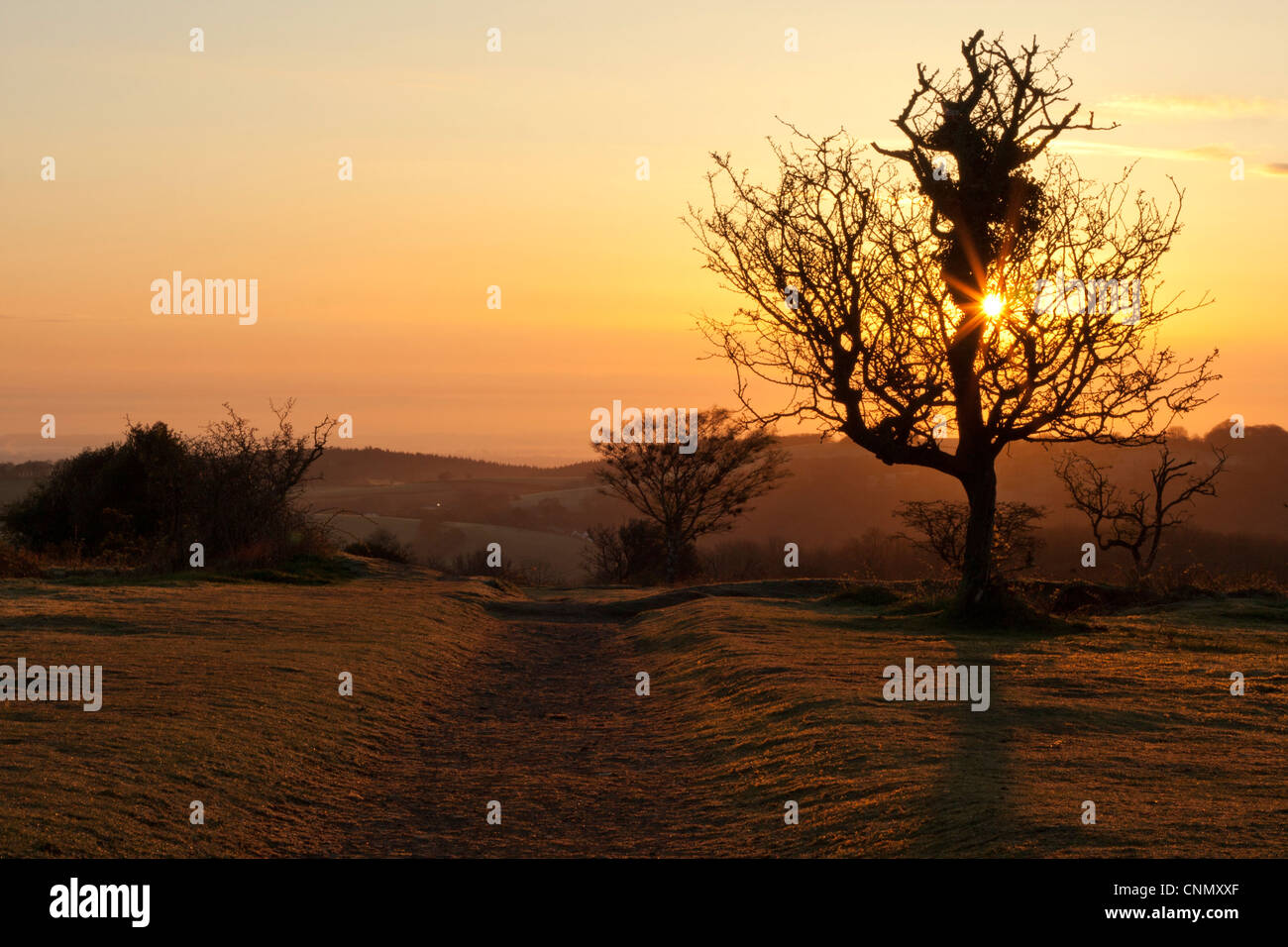 Dawn over the English countryside, sunrise or sunset with tree ...
