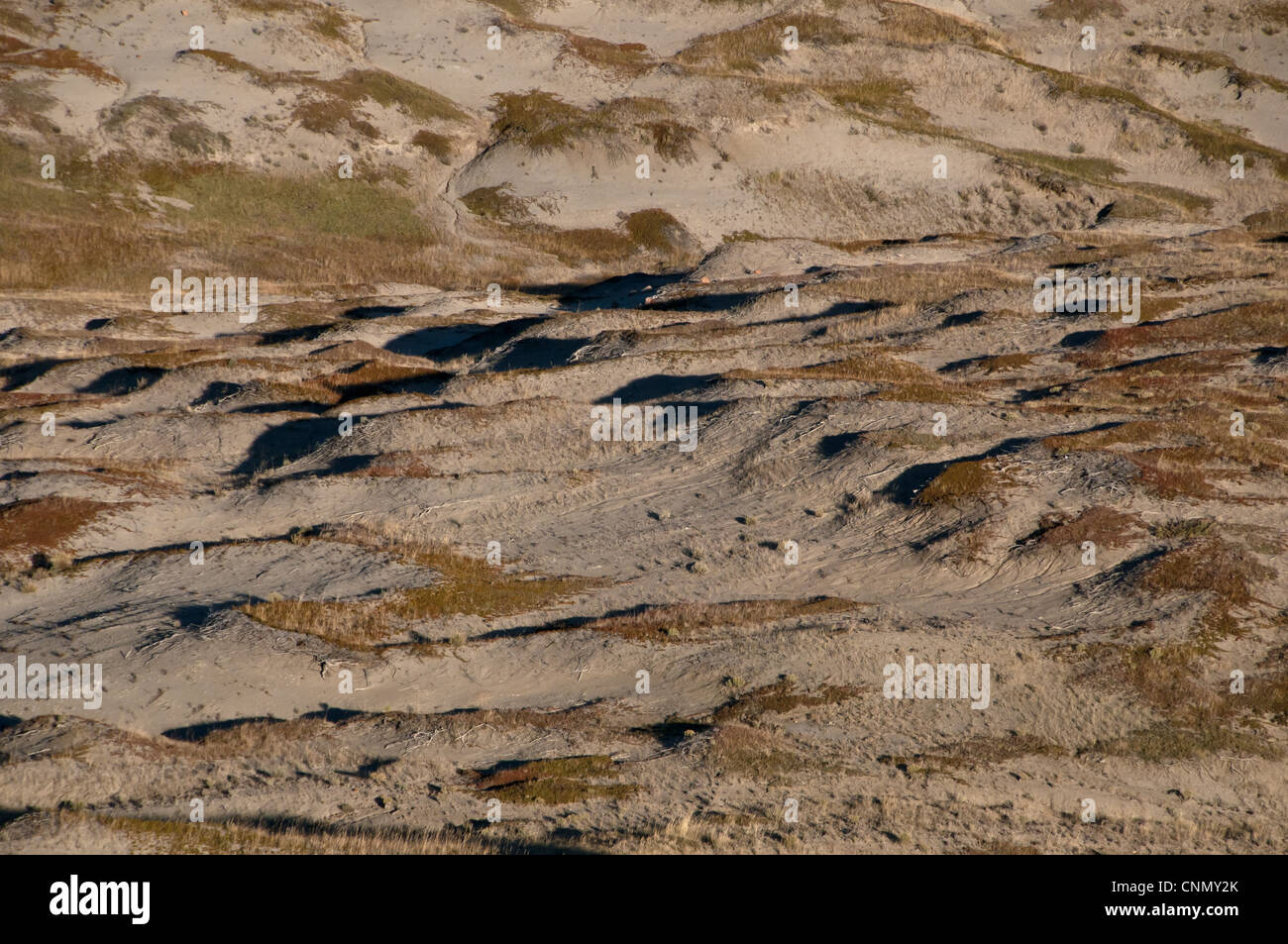 View of shortgrass prairie habitat, West Bloc, Grasslands N.P ...