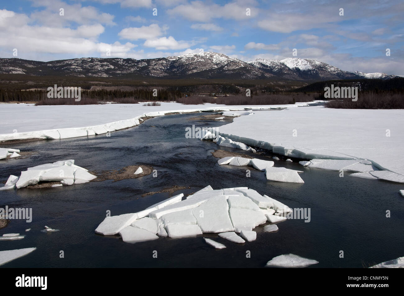 View of melting ice on river during spring breakup, Yukon River ...