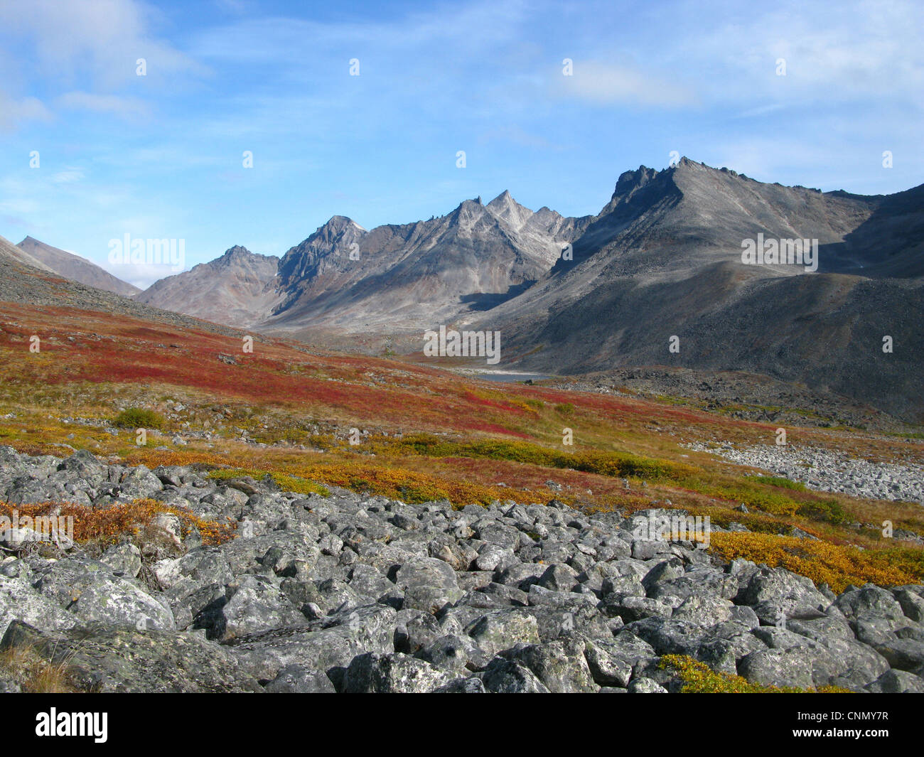 Montane habitat usa hi-res stock photography and images - Alamy