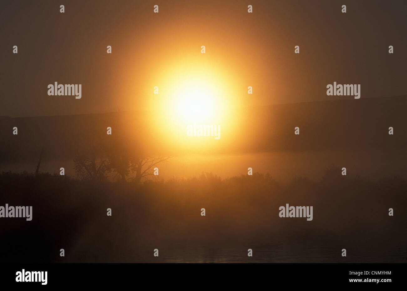 Sun through fog hi-res stock photography and images - Alamy