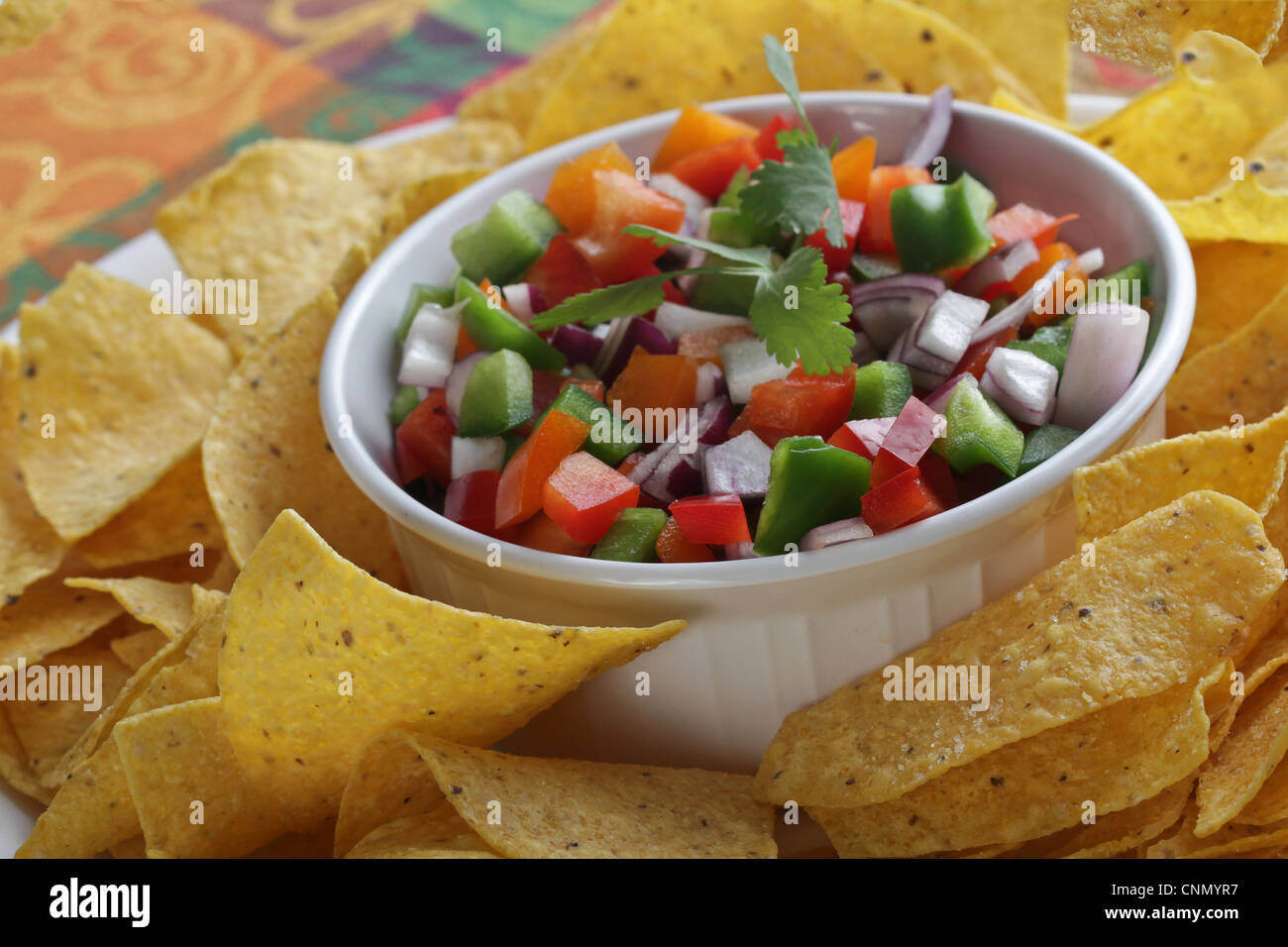 A white bowl of fresh vegetable pico de gallo on tostada chips Stock ...