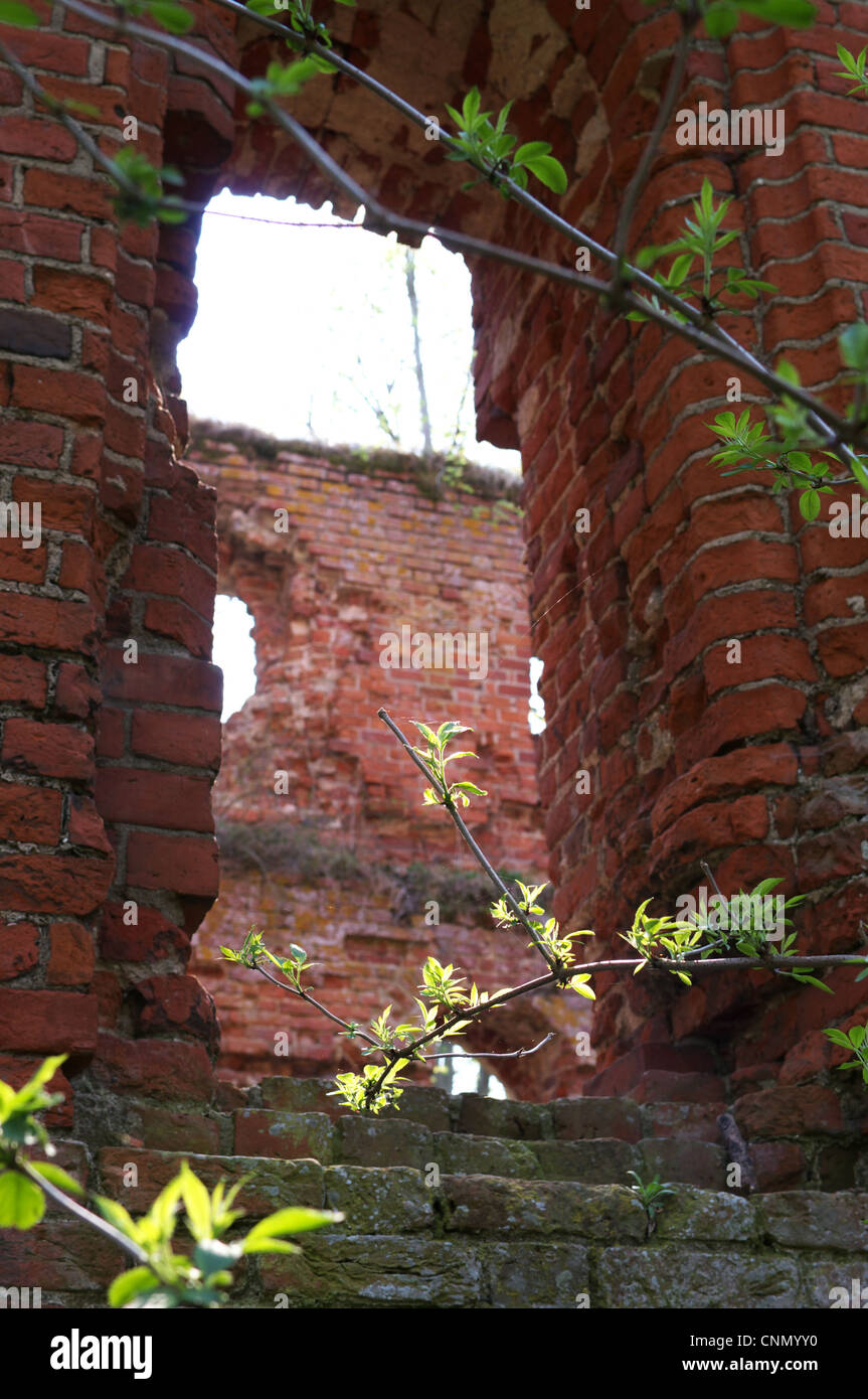 Old castle Balga in Prussia, Kaliningrad region, Russia Stock Photo - Alamy