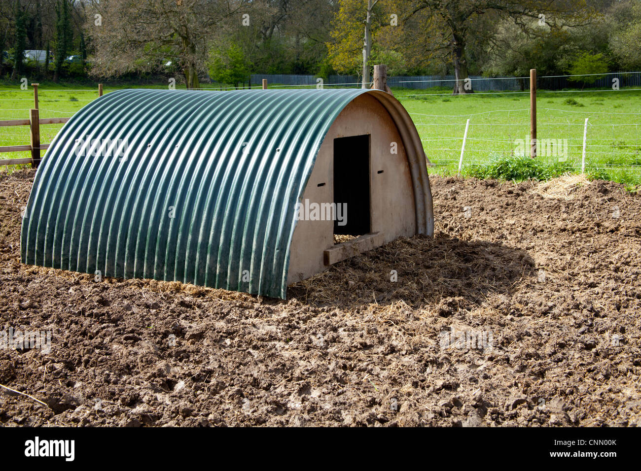 Pigsty on farmland with no pigs in view Stock Photo: 47789523 - Alamy