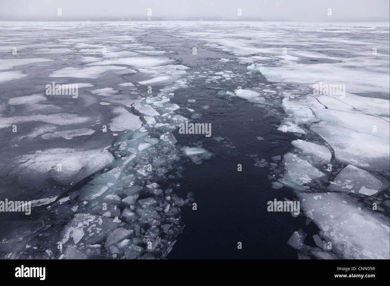 Trail of icebreaker breaking through pack ice, Spitsbergen, Svalbard ...