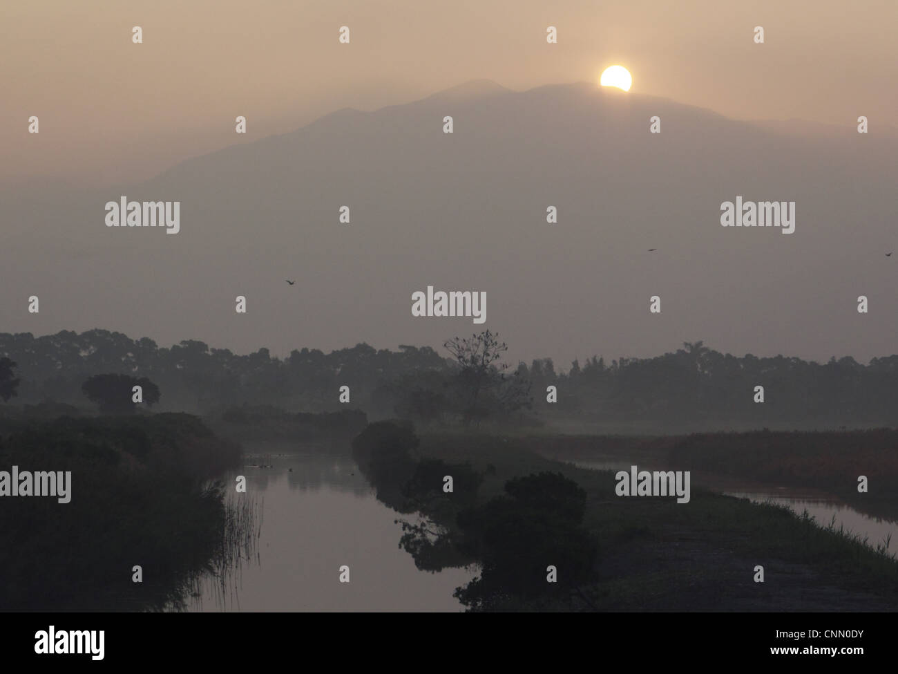 Mai po marshes nature reserve hi-res stock photography and images - Alamy