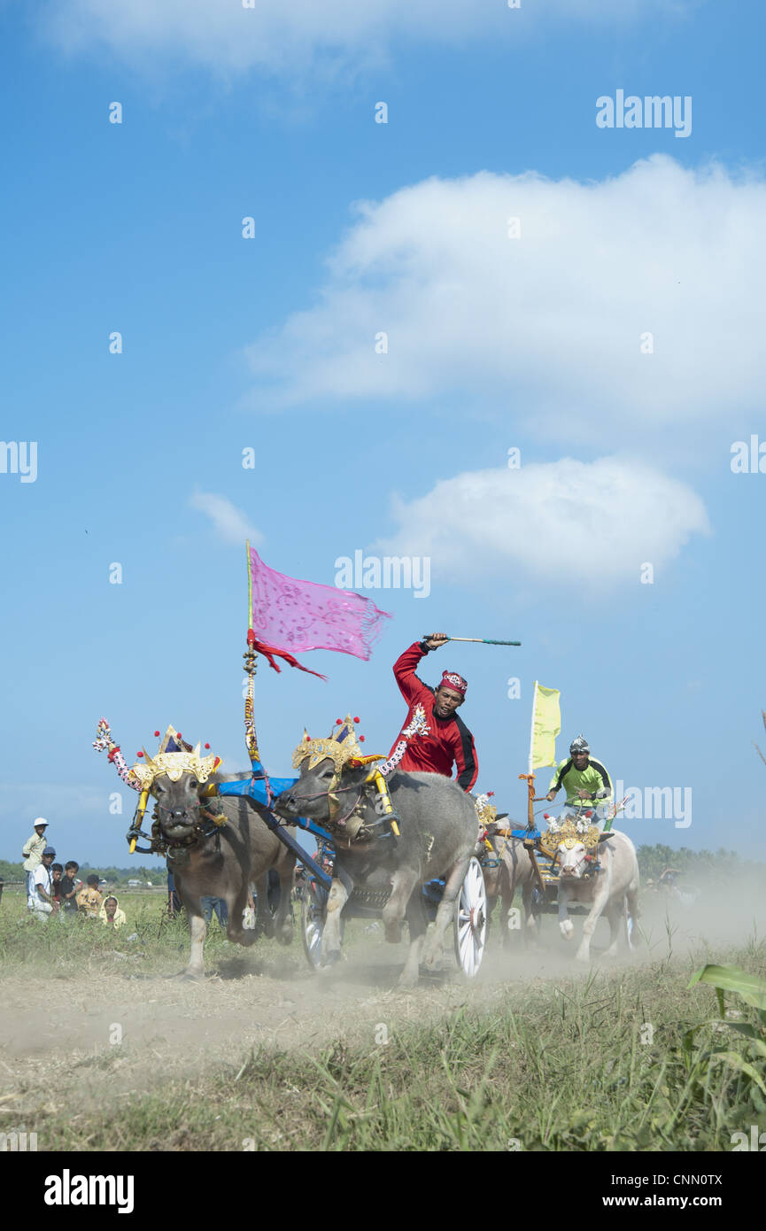 Human pulled cart hi-res stock photography and images - Alamy
