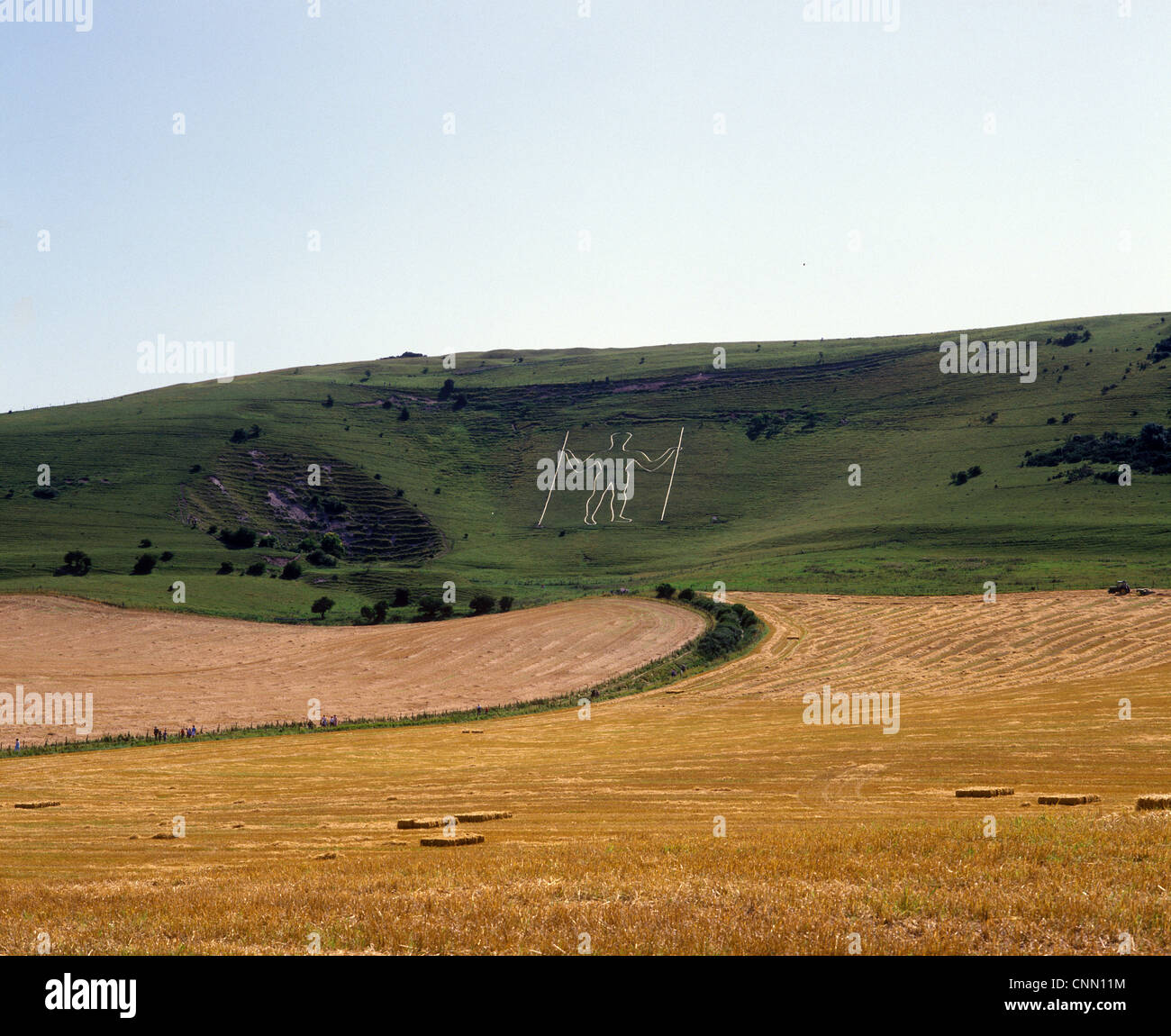Britain - England View across fields / showing Long Man of Wilmington,S ...