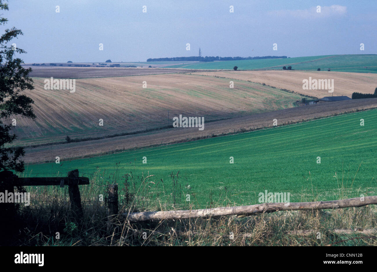 Lambourne, berkshire hi-res stock photography and images - Alamy