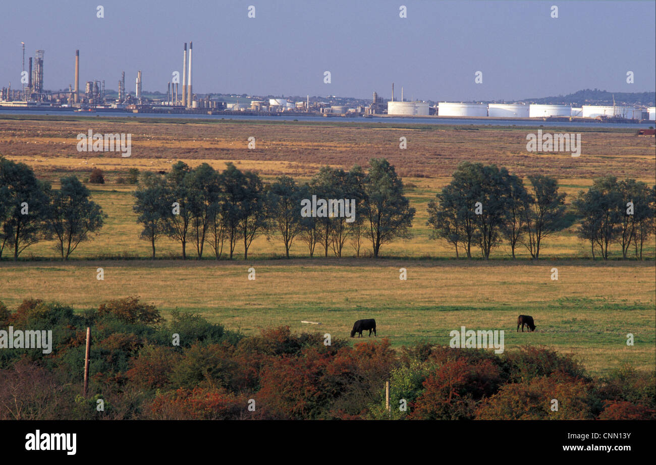 Cliffe marshes hi-res stock photography and images - Alamy