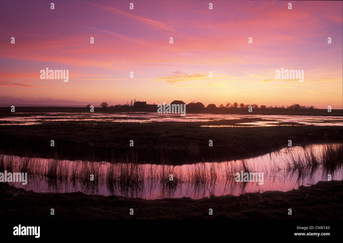 Britain Elmley Marshes at sunset - Kent Stock Photo - Alamy