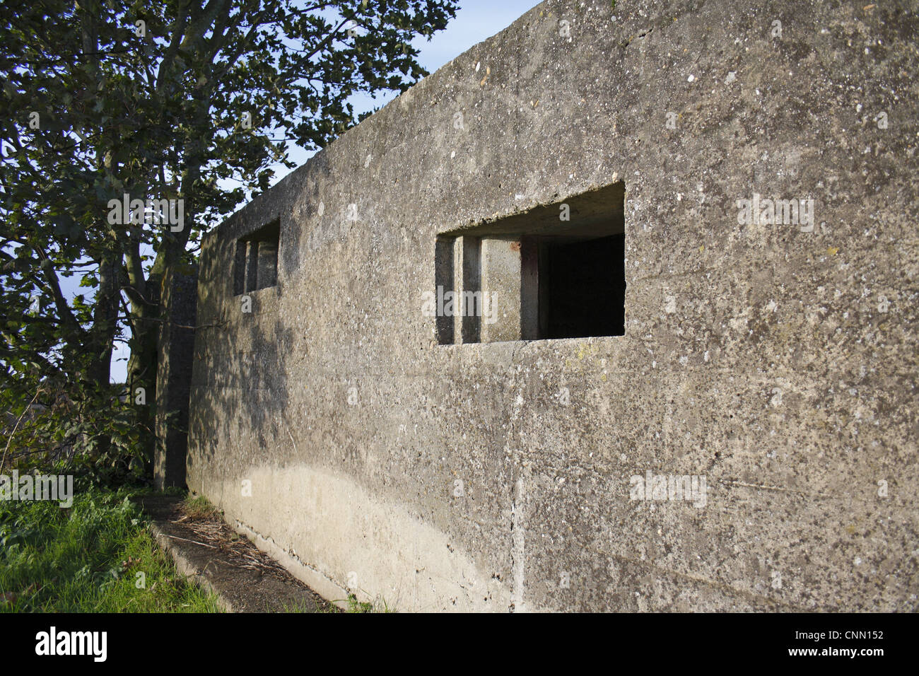 Close-up of World War Two FW3 Type 23 pillbox, in evening sunshine ...