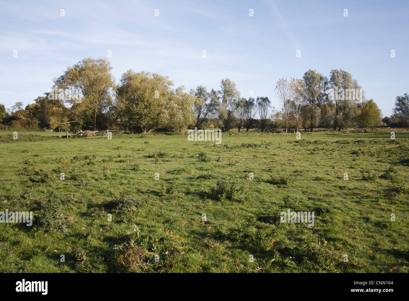 View of unimproved wet grazing meadow, River Dove, Thornham Magna ...