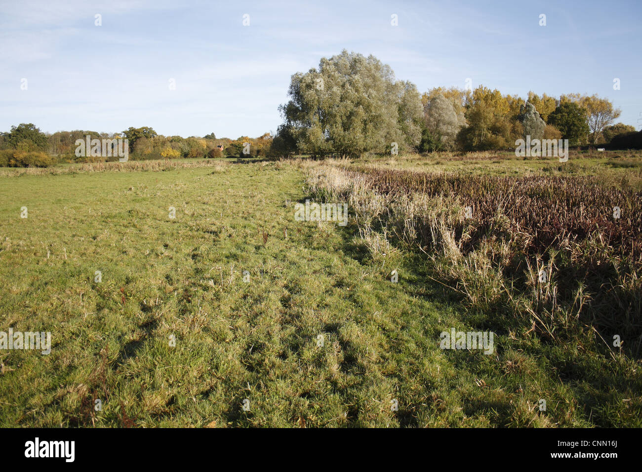Unimproved grasslands hi-res stock photography and images - Alamy