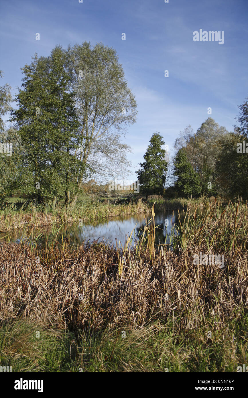Unimproved pastures hi-res stock photography and images - Alamy
