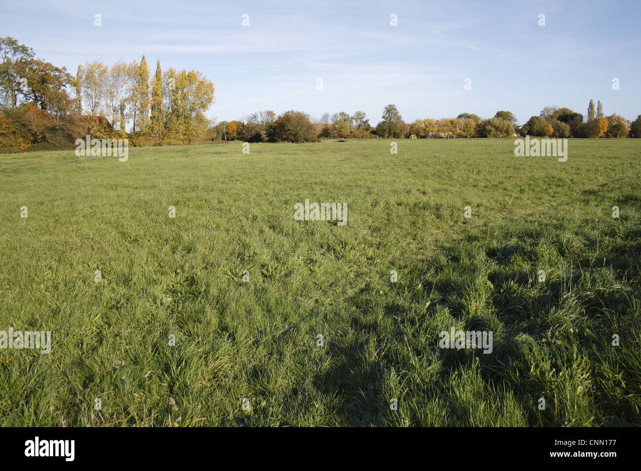 View of commonland reserve, The Carnser, Mellis Common, Mellis, Suffolk ...